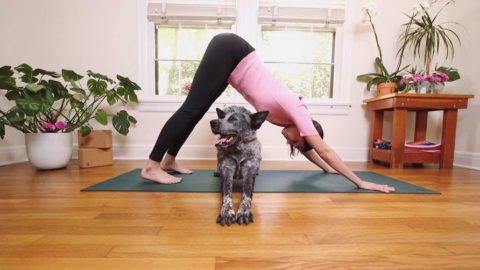 Blog Archives | Page 6 of 22 | Yoga With Adriene